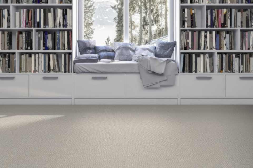 Winter White Carpets | Carpet One Floor & Home