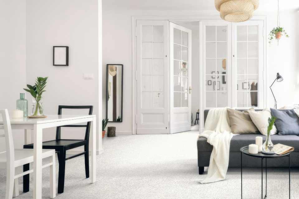 Winter White Carpets | Carpet One Floor & Home