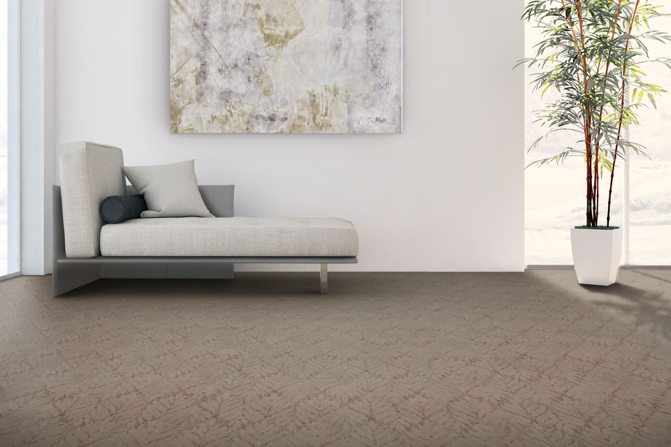 Expressive Carpets & Area Rugs | Carpet One Floor & Home